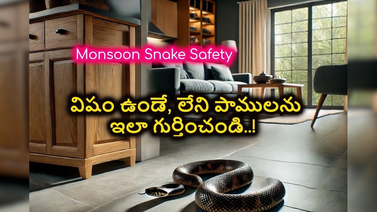 Monsoon Snake Safety: వర్షాకాలంలో పాములతో జాగ్రత్త.. విషం ఉండే, లేని ...