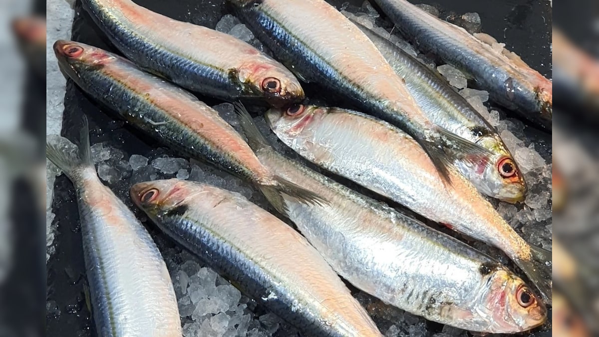Boneless Fish: ఈ చేపల్లో ఒక్క ముల్లు కూడా ఉండదు.. ఇవి పిల్లలకు ఫేవరెట్ ...
