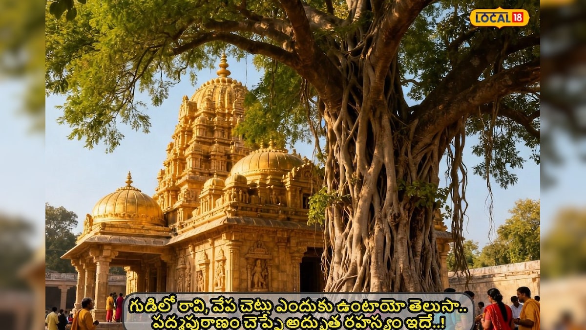 గుడిలో రావి, వేప చెట్లు ఎందుకు ఉంటాయో తెలుసా.. పద్మపురాణం చెప్పే అద్భుత ...