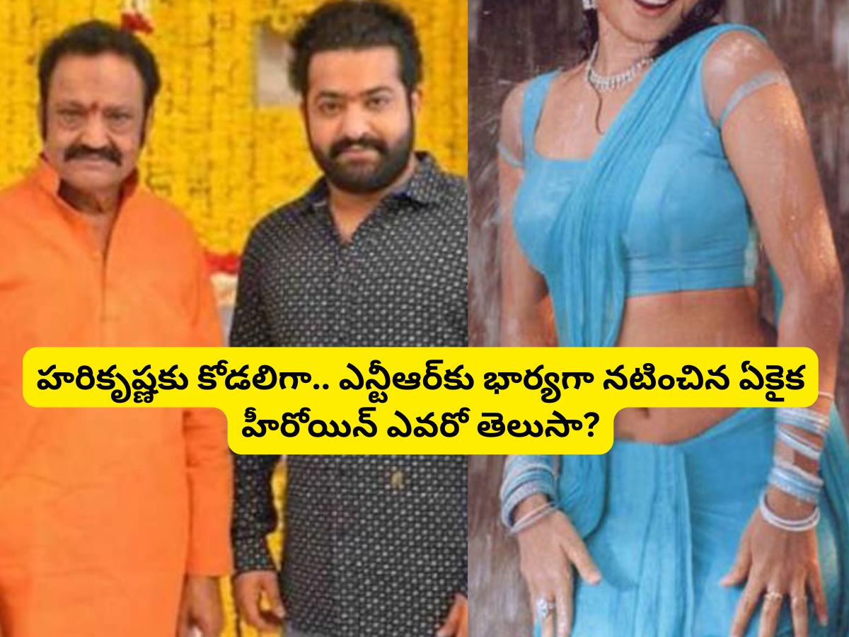 Actress Gajala: నందమూరి హరికృష్ణకు కోడలుగా.. NTRకి భార్యగా నటించిన ఏకైక ...