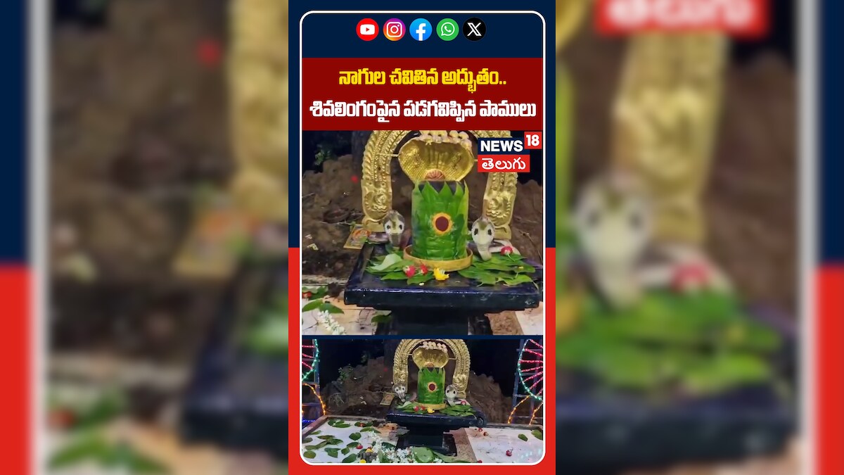 Rare Scene on Nagula Chavithi | నాగుల చవితిన అద్భుతం..