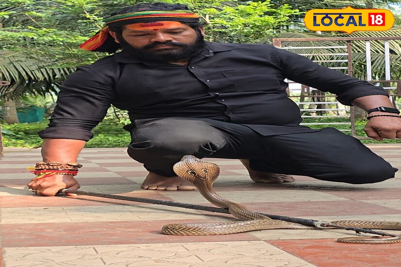 Snake Terror: 4 నెలలుగా ఆ ఇంట్లోనే సెటిలైన కోబ్రా.. నాటు కోళ్లను ...