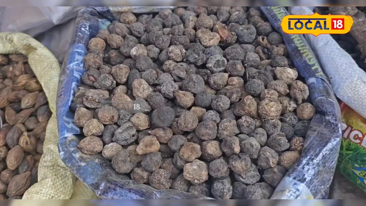 Thanikaya Benefits: పెరట్లో ఉండే ఈ కాయ ఆ సమస్యకు సంజీవనిలా పని ...