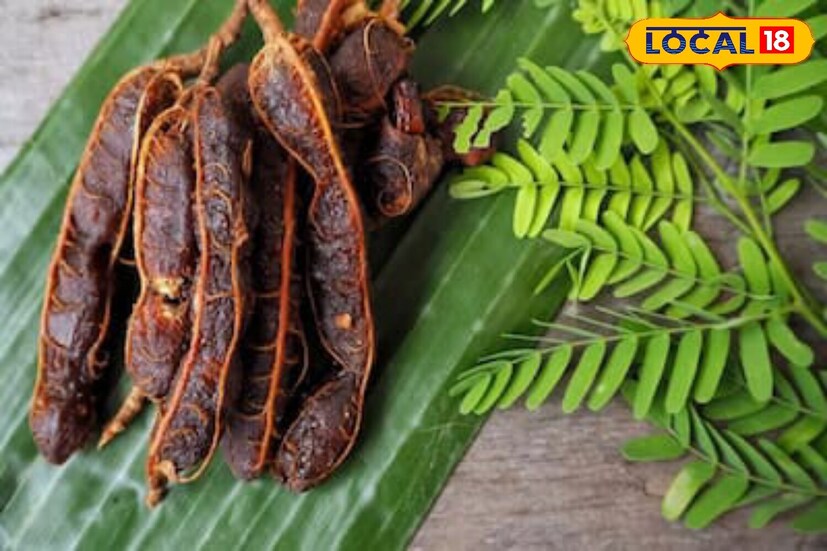 Benefits Of Eating Tamarind : ఈ సీజన్‌లో రోజూ చింతపండు చప్పరించాలి.. ఆ ...