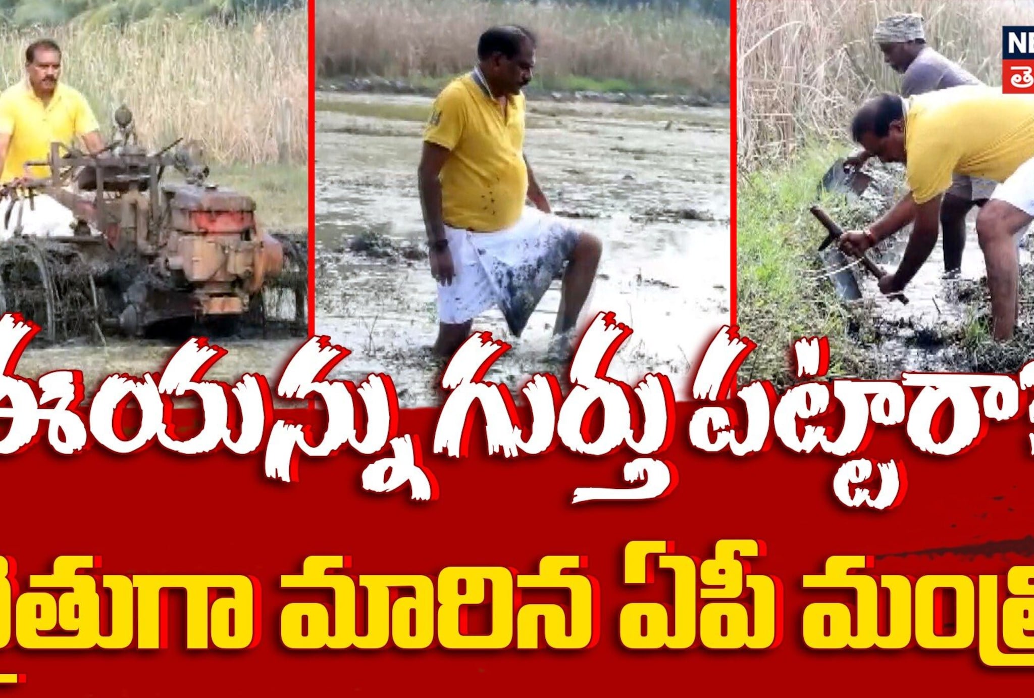 video Videos News in Telugu: Videos