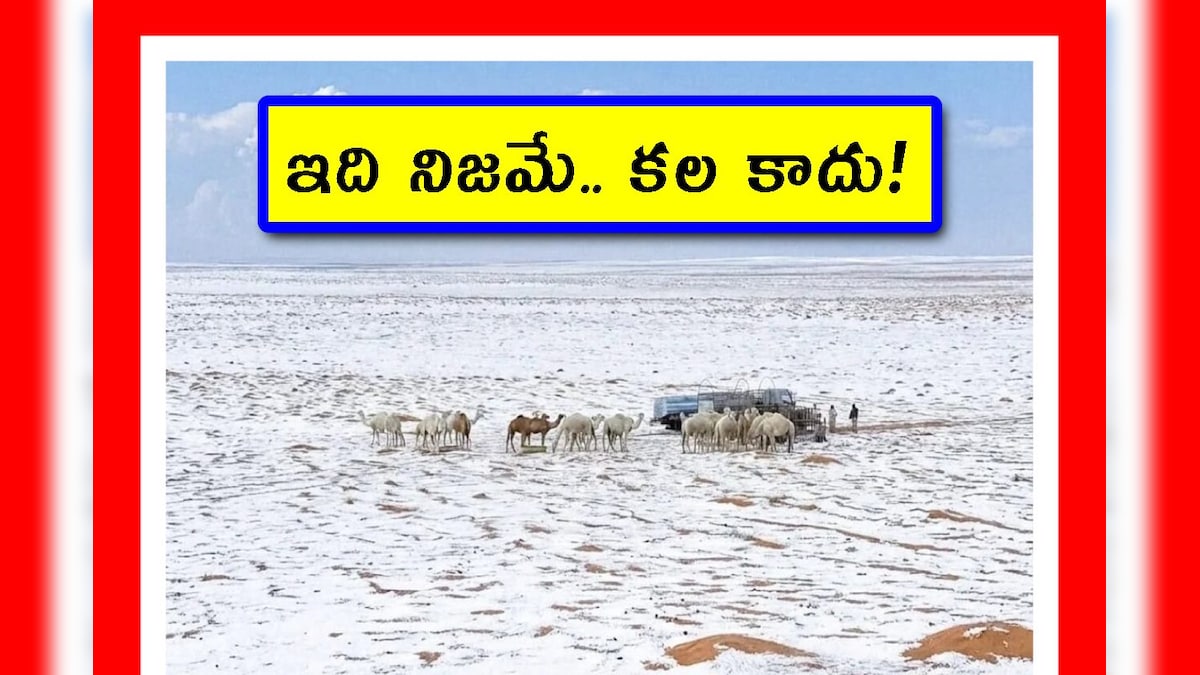 Snowfall In Saudi Arabia: సౌదీ అరేబియాలో ఎందుకు మంచు కురిసింది? ఇది ...