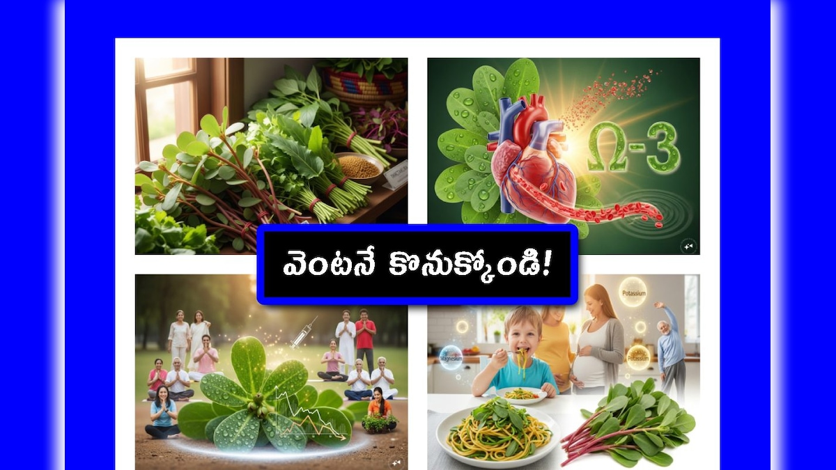 ఎలాన్ మస్క్‌కి మాత్రమే $750 బిలియన్ల నికర సంపద. ఎలా సాధ్యమైంది?