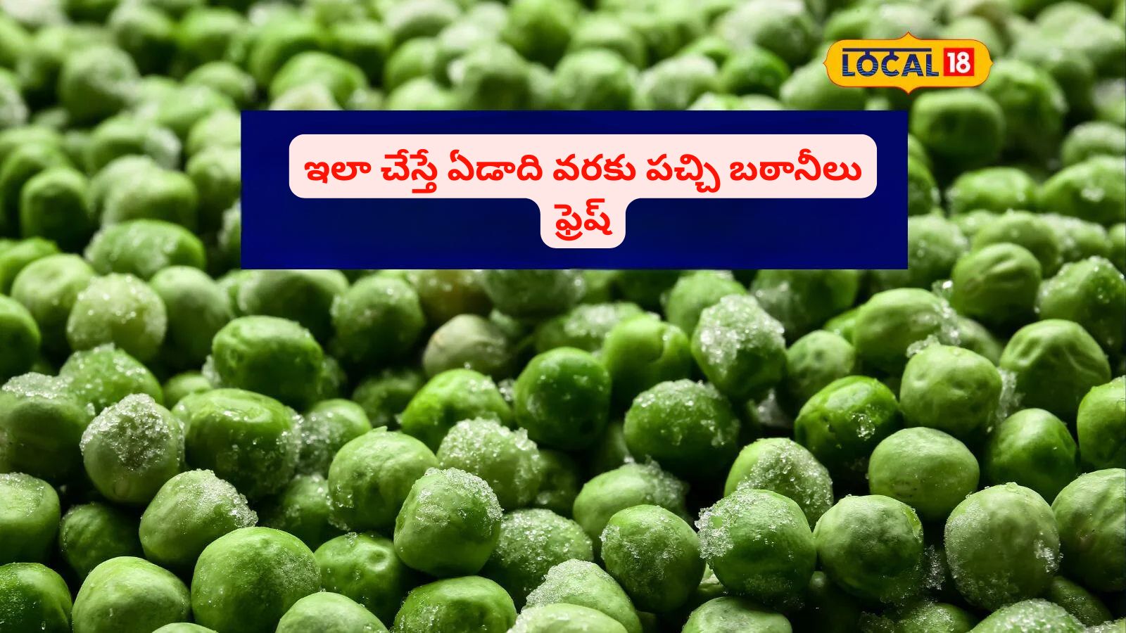 Pea Storage Tips: పచ్చి బఠానీలు ఏడాది వరకు ఫ్రెష్‌గా, టేస్ట్‌గా ...