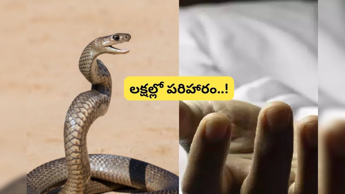 Snake Bite Death Compensation: పాము కాటుతో మరణిస్తే.. ప్రభుత్వం ఎంత ...