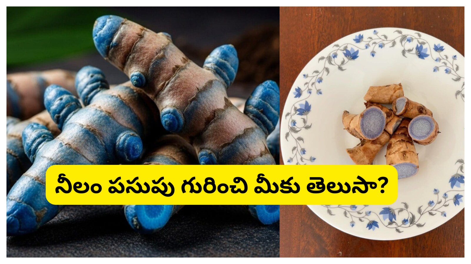 Blue Turmeric: నీలం రంగు పసుపు గురించి మీకు తెలుసా?.. కూరకి రుచినే కాదు ...
