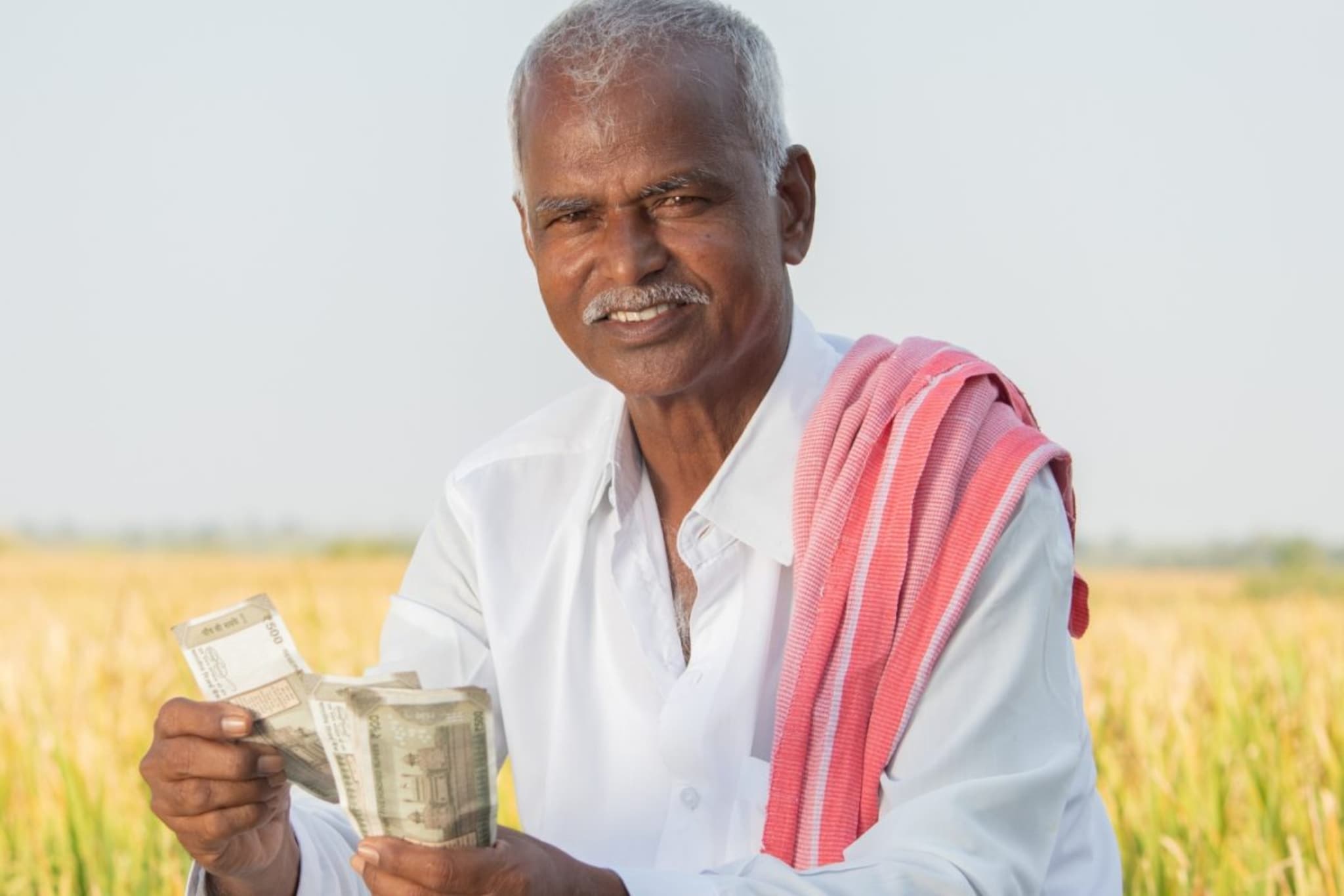 Kisan Credit Card News, Photos & Videos in Telugu - News18 తెలుగు