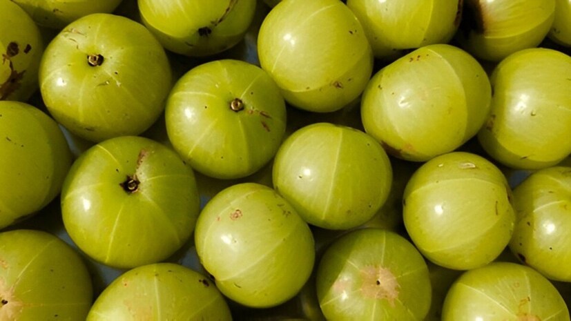 Amla Side Effects: ఆరోగ్యానికి ఉసిరి ఎంతో మేలు.. కానీ వీళ్ళు తింటే ...