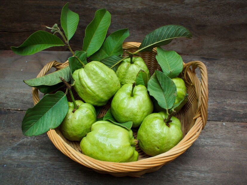 Guava: జామకాయ తిన్న తర్వాత.. ఈ 4 ఆహారాలను ఎట్టి పరిస్థితుల్లో తినొద్దు ...