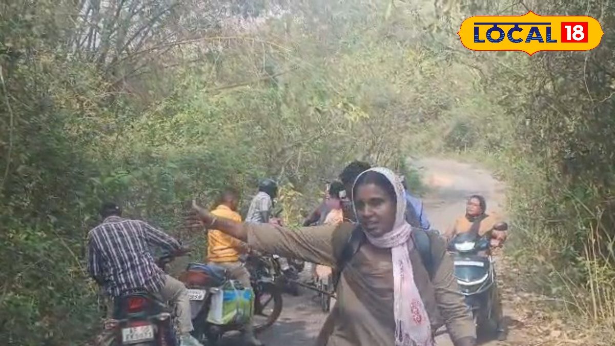 Tiger Alert: ఫారెస్ట్ అధికారులు ఎదురుగా పెద్దపులి..? భయంతో వెనక్కి ...