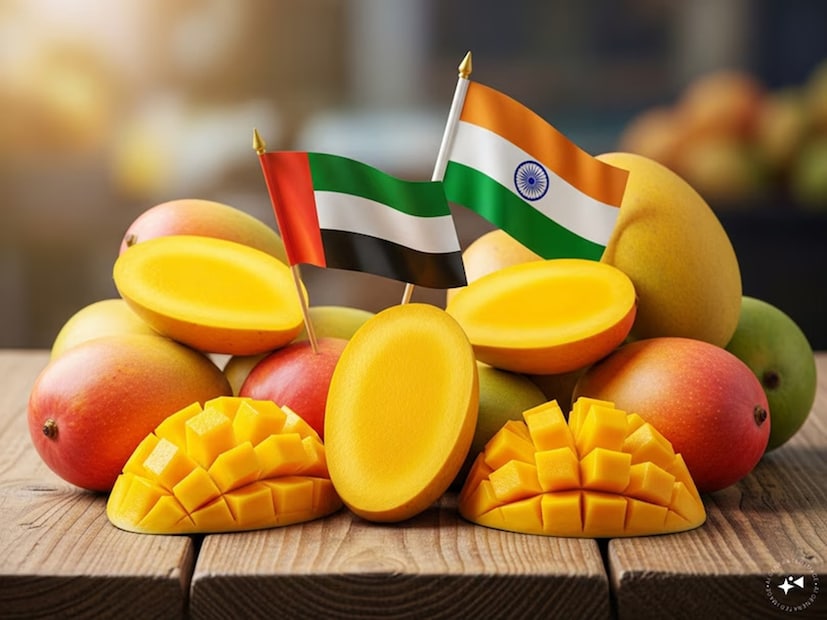 Indian Mangoes: అమెరికా, కెనెడా కాదు... మన మామిడి పండ్లకు ఈ దేశంలో ...