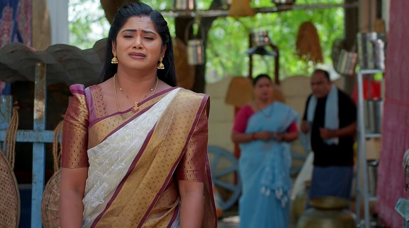 illu illalu pillalu serial Today April 14th Episode: మన కుటుంబాన్ని ...