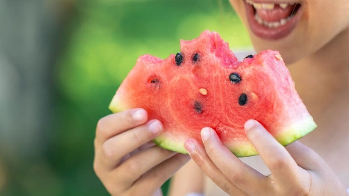 Watermelon Eating Tips: ఓర్నీ.. పుచ్చకాయ ఇలా తినాలా? ఇన్నాళ్లు తెలియక ...