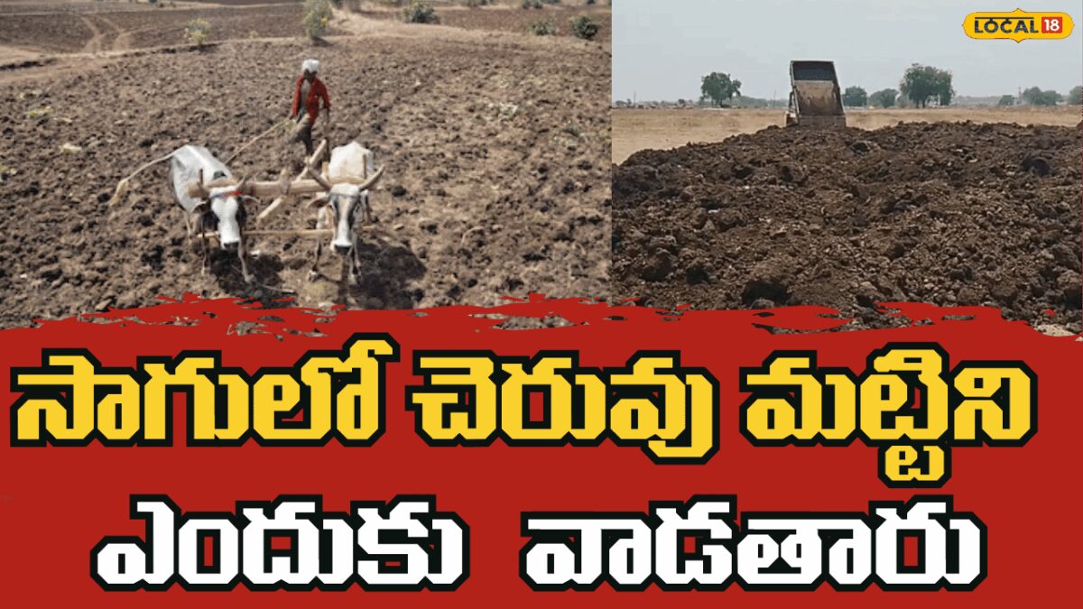 Tank Silt Improves Soil Fertility Naturally | సాగులో చెరువు మట్టిని ...