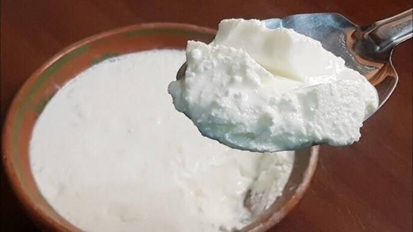 Curd Making Secrets: స్వీట్ షాప్ వాళ్లు కూడా చెప్పని పక్కా సీక్రెట్ ...