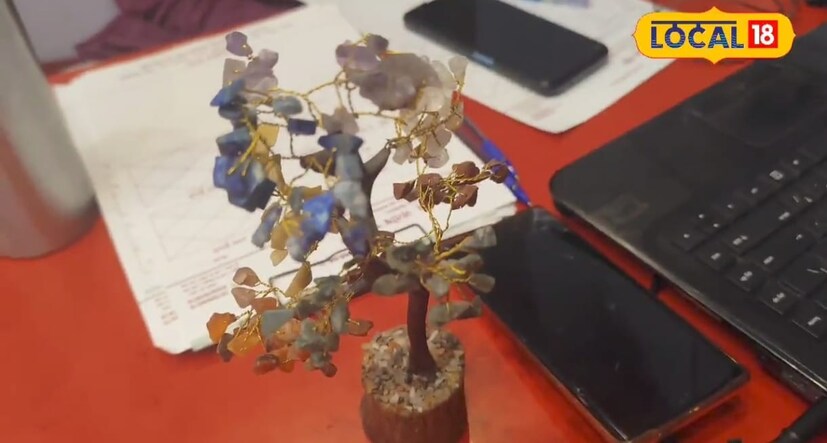Navaratna Tree: జాతకంతో పనిలేదు.. ఈ ఒక్క వృక్షం ఇంట్లో ఉంటే చాలు ...