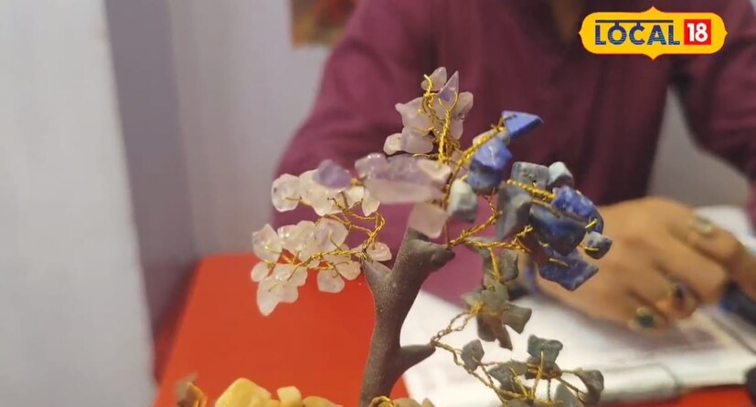 Navaratna Tree: జాతకంతో పనిలేదు.. ఈ ఒక్క వృక్షం ఇంట్లో ఉంటే చాలు ...