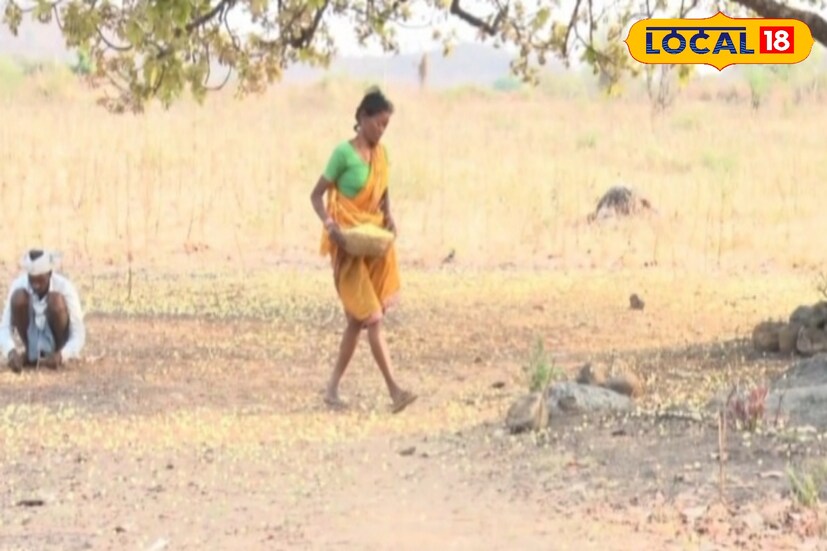 అడవుల్లో పరిమళాల పండుగ.. గిరిజనులకు కల్పతరువుగా ఇప్పపువ్వు ...