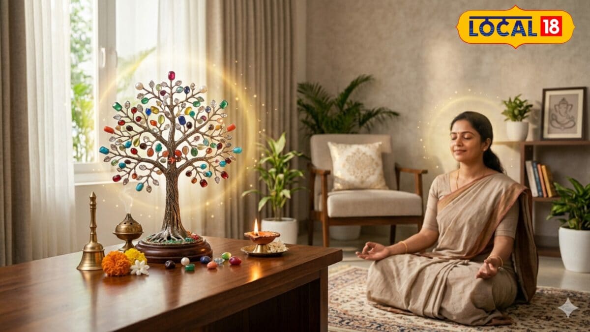 Navaratna Tree: జాతకంతో పనిలేదు.. ఈ ఒక్క వృక్షం ఇంట్లో ఉంటే చాలు ...