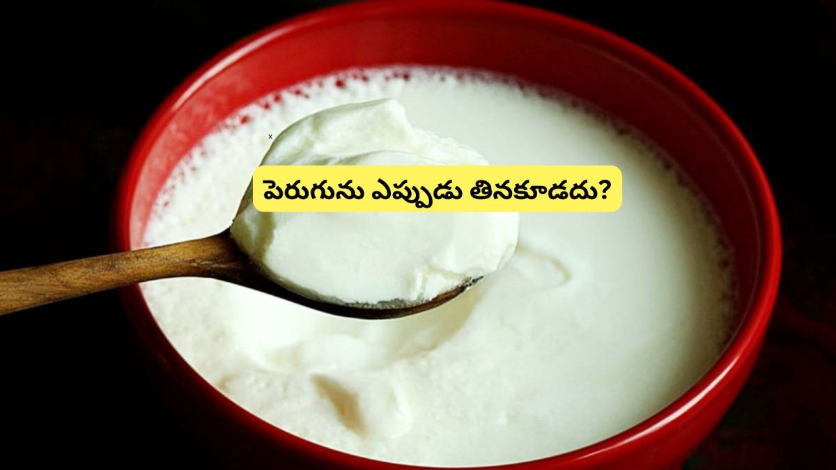 Curd: పెరుగు తింటున్నారా?.. ఈ తప్పులు చేస్తే ప్రమాదం! | - News18 Telugu