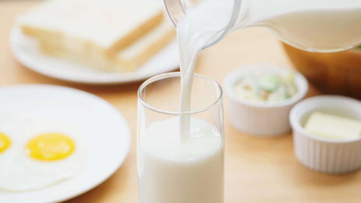 Milk Freshness Tips: 50°C ఎండలో కూడా పాలు పాడవ్వవు.. ఈ చిన్న చిట్కా ...