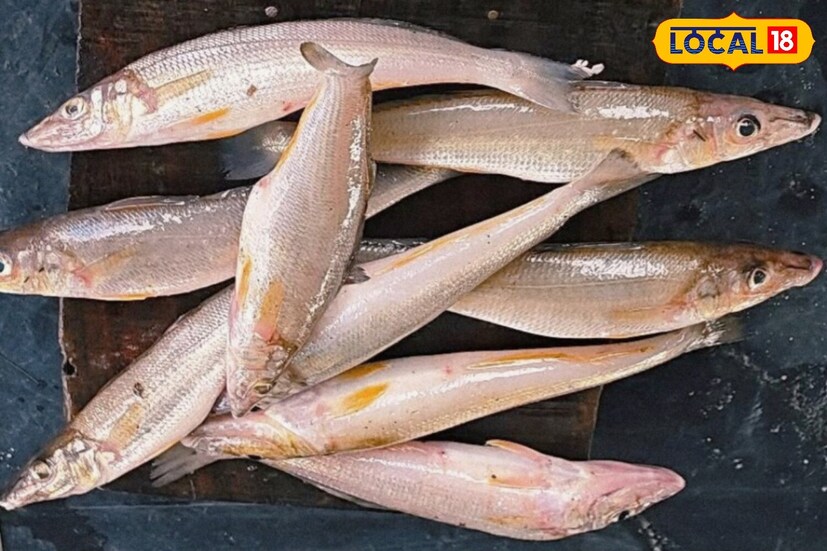 Fish: చేపలు కొనేముందు ఈ 4 విషయాలు ఖచ్చితంగా తెలుసుకోండి.. లేదంటే ...