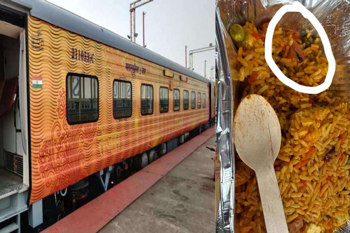 IRCTC Food: ఫ్రైడ్ రైస్‌లో కీటకం... ప్రీమియం రైలులో ప్రయాణికుడికి షాక్ ...