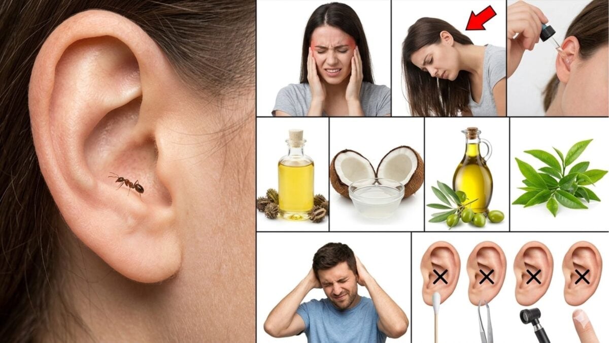 Tips and Tricks: చెవిలోకి చీమ వెళ్లిందా? పిన్నీస్, కాటన్ బడ్స్ వాడకండి ...