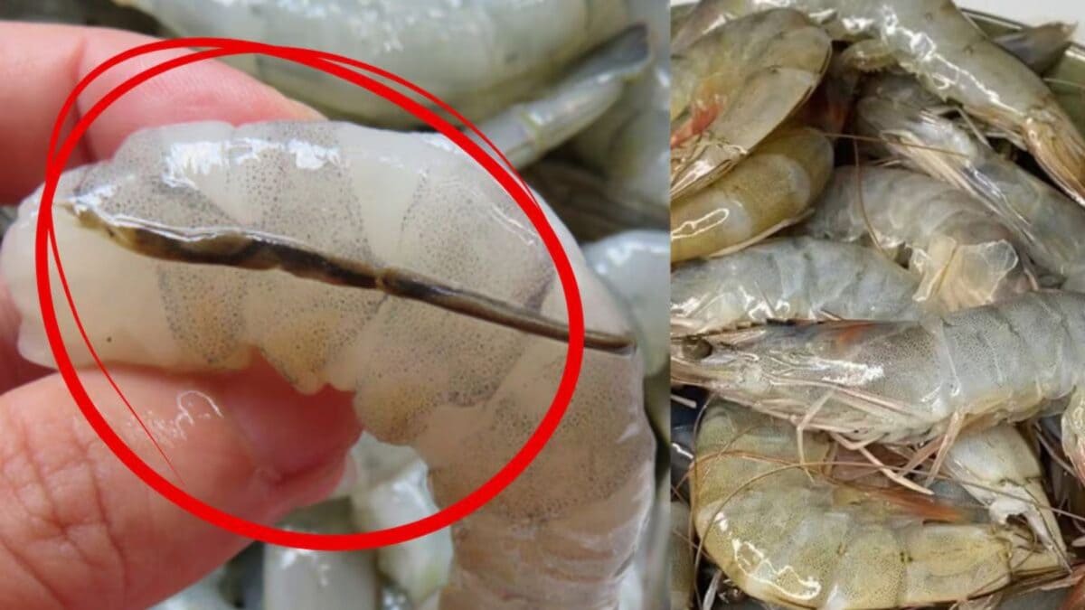 Prawns: రొయ్యల్లో ఉండే నల్ల నరాన్ని తీయకుండానే తినేస్తున్నారా?.. అంత ...
