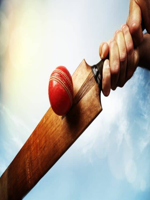Over half of India is a cricket fan – a look at the craze for the sport ...