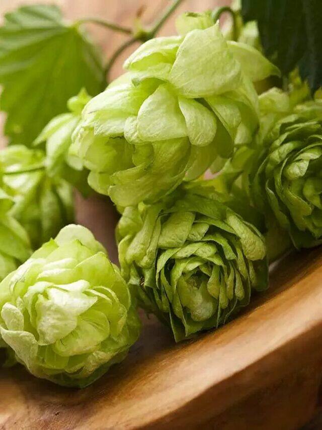 जानिए दुनिया की सबसे महंगी सब्जी की कीमत क्या है?