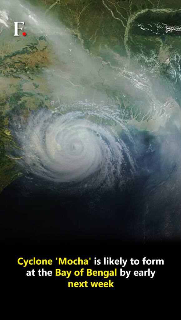 All about Cyclone Mocha