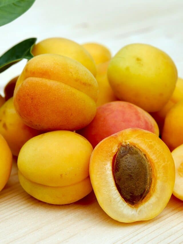 7 Benefits Of Consuming Apricots