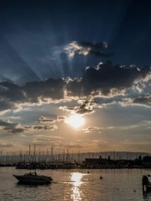 10 Nature Quotes To Appreciate Its Beauty