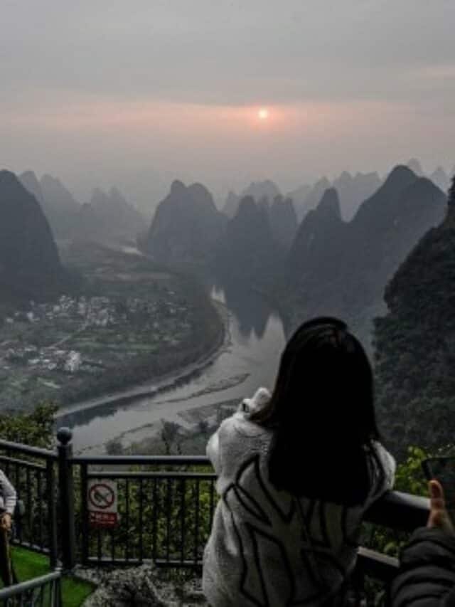 World Environment Day 2023: 5 ways to give our planet a fighting chance