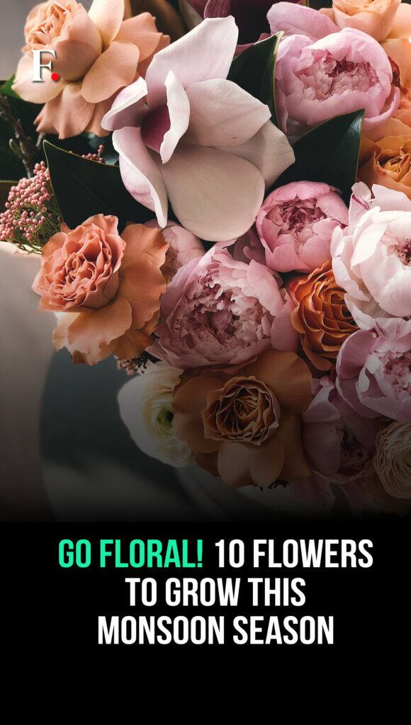 Go Floral! 10 flowers to grow this monsoon season