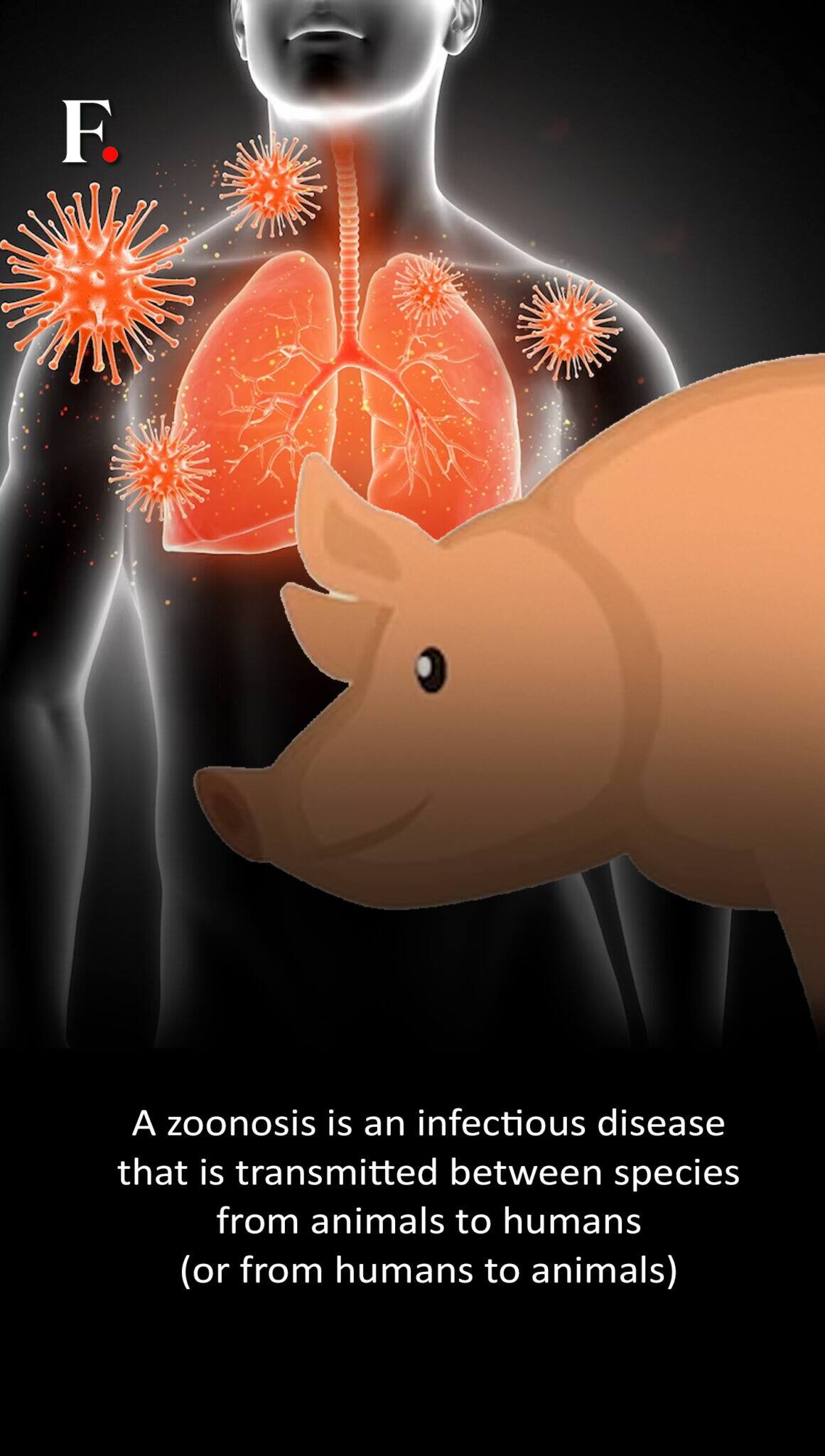 World Zoonoses Day 2023: Date, history, significance