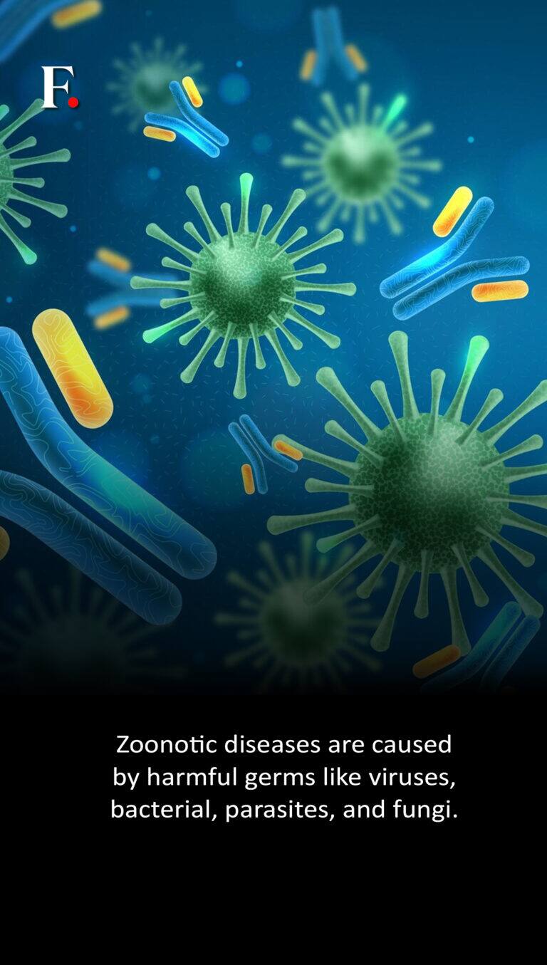 World Zoonoses Day 2023: Date, history, significance