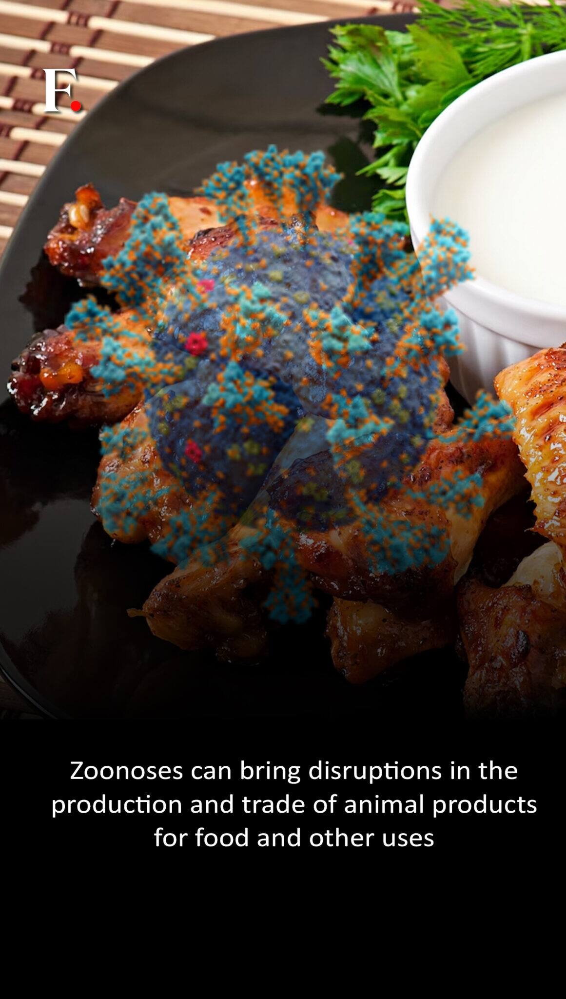 World Zoonoses Day 2023: Date, history, significance