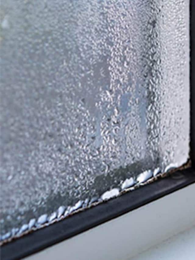 9 Ways to Relieve Your House of Excess Moisture This Monsoon
