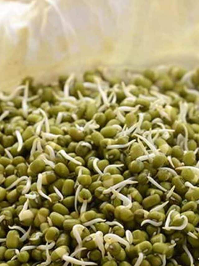 Health benefits of Moong Sprouts