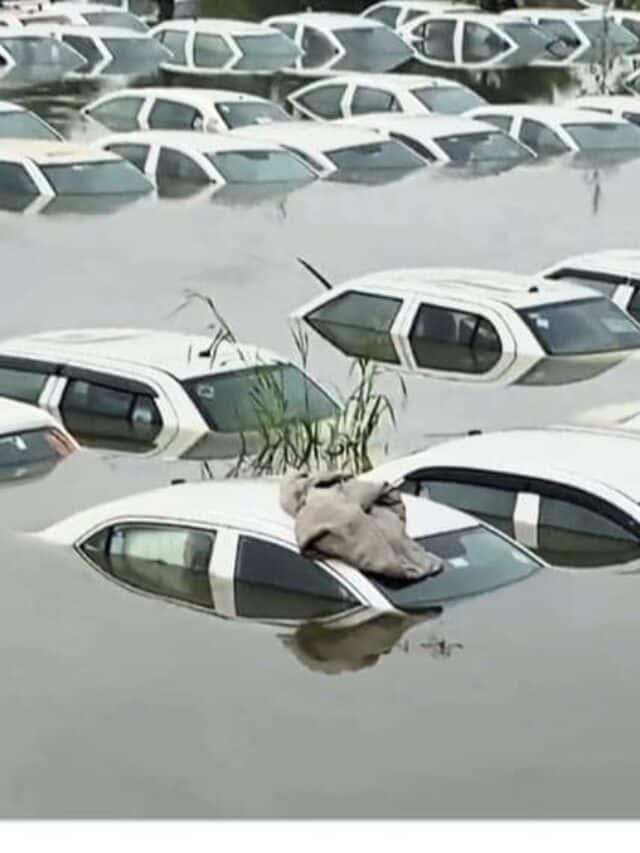 Due to a railway mistake, this farmer became the owner of the train ...