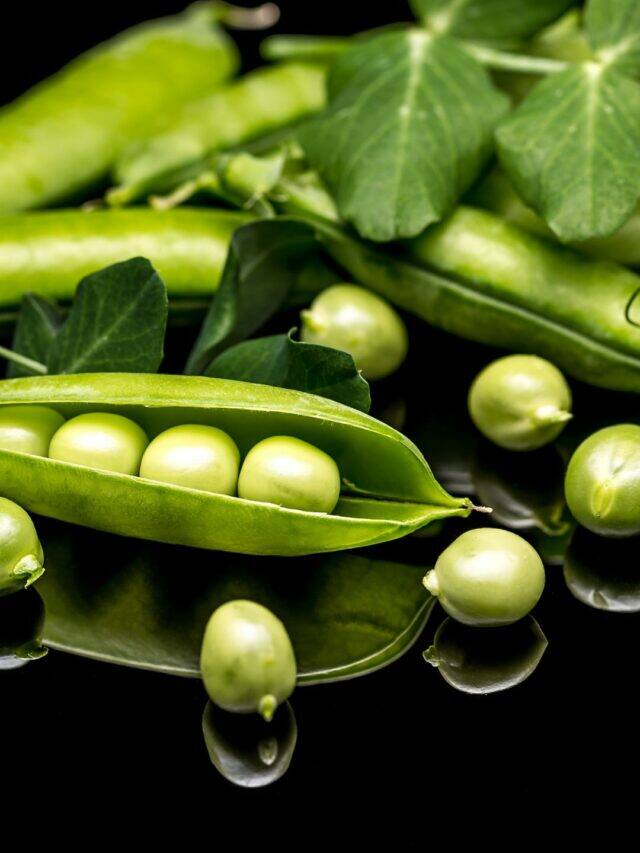 Green Peas ತಿನ್ನುವುದರಿಂದ ಸಿಗುತ್ತೆ ಹಲವಾರು ಆರೋಗ್ಯ ಪ್ರಯೋಜನಗಳು