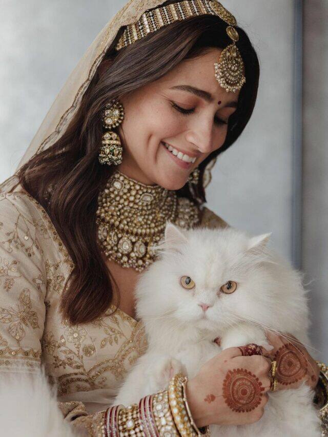 Bollywood actresses who adore cats