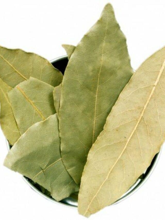 5 Lesser-known Benefits Of Bay Leaf