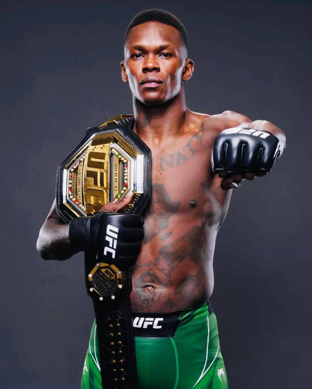 Alle Ufc Champions
